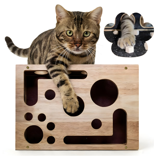 PawKind™ Nail-Care Puzzle Box – Snnowflake.com