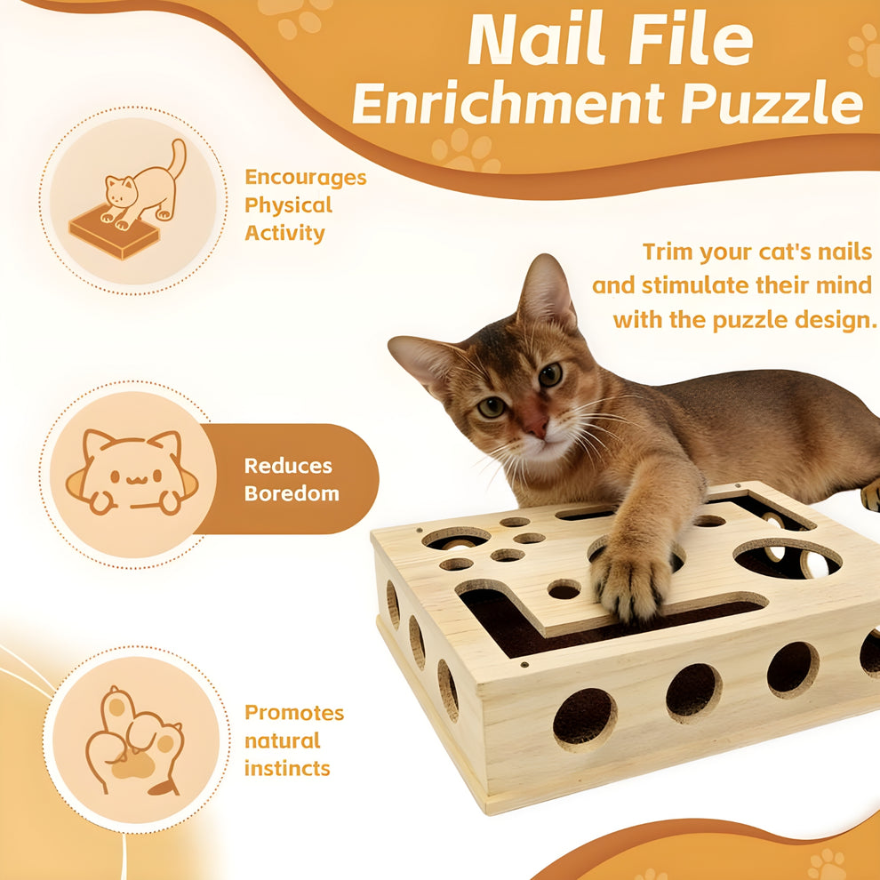 PawKind™ Nail-Care Puzzle Box – Snnowflake.com